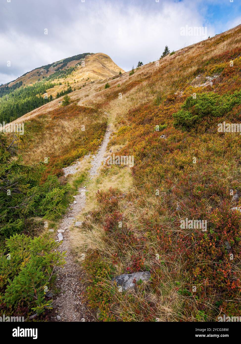 trail path to mountain peak. amazing carpathians. way uphill the steep ...