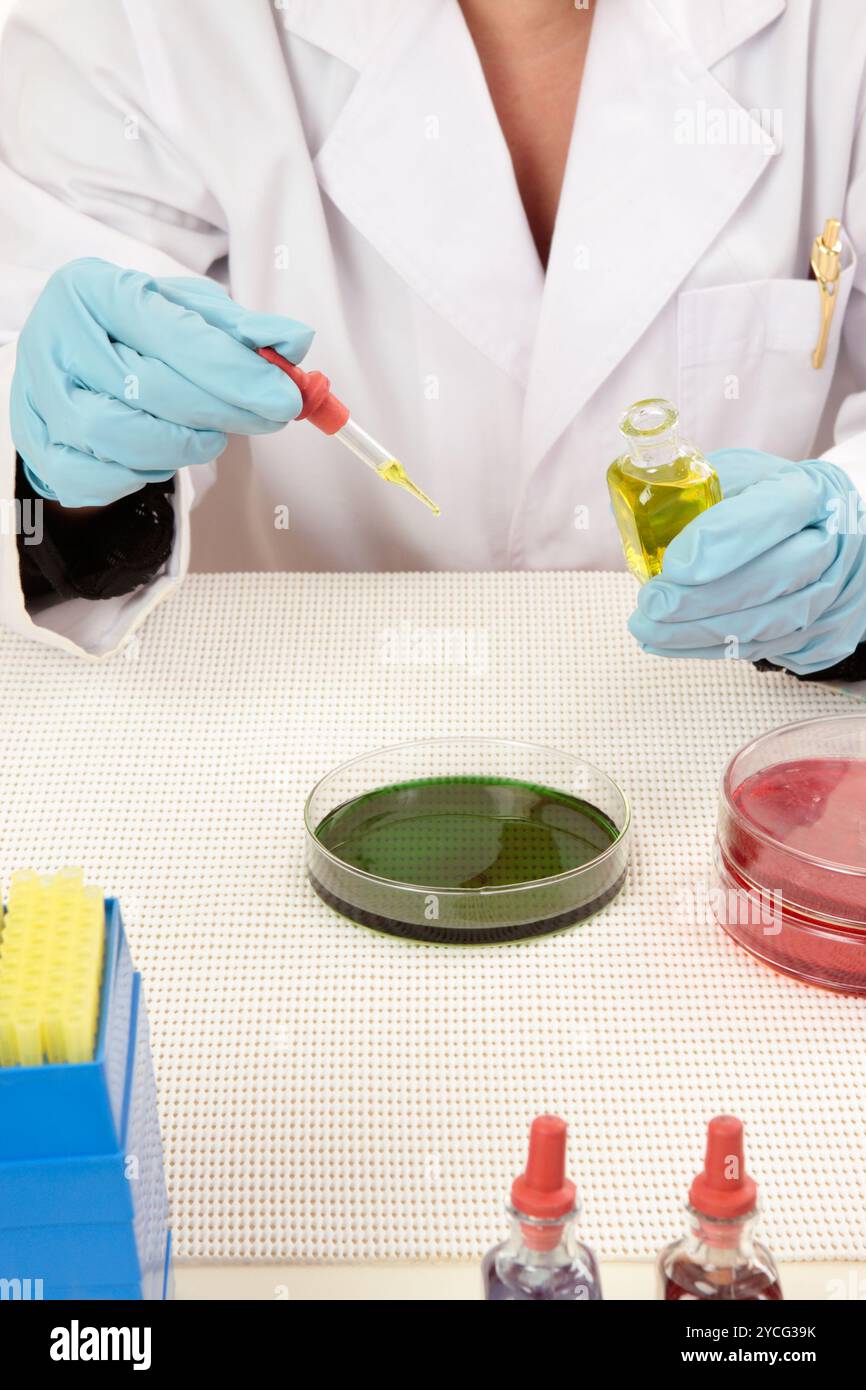 Close up crop of laboratory worker doing scientific, medical or other ...