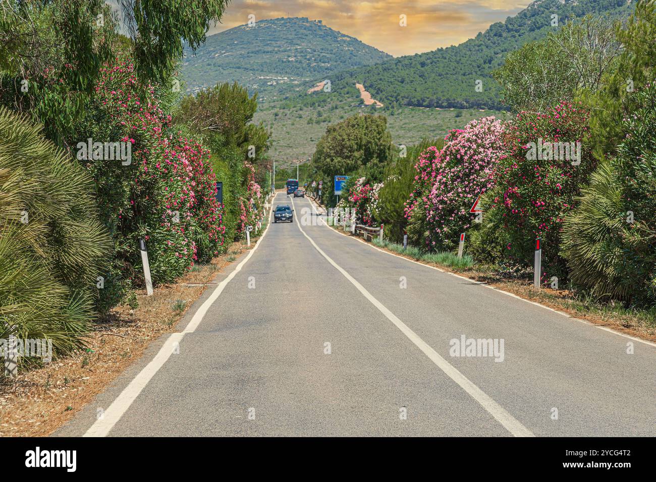Tourist road in Sardinia Province, Sassari, Italy, in the middle of a ...