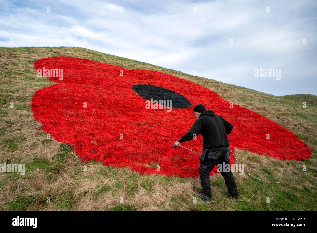 Giant poppies are painted onto the grass pyramids alongside the M8 ...