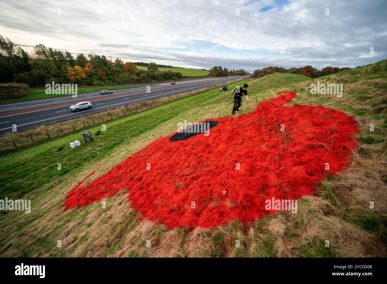 Giant poppies are painted onto the grass pyramids alongside the M8 ...