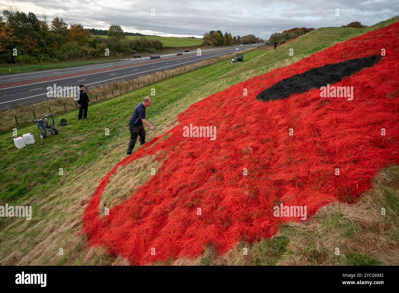 Giant poppies are painted onto the grass pyramids alongside the M8 ...