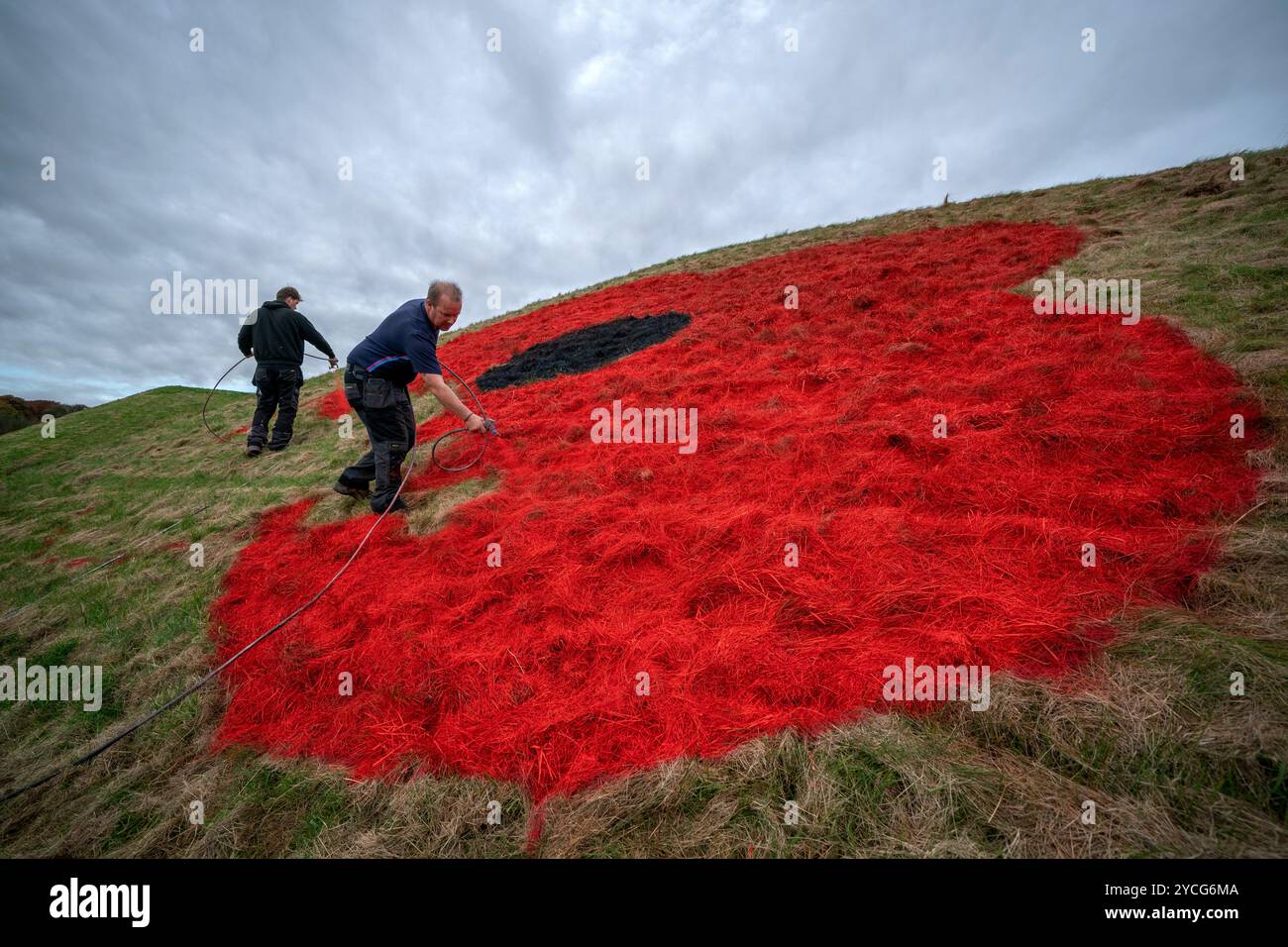 Giant poppies are painted onto the grass pyramids alongside the M8 ...