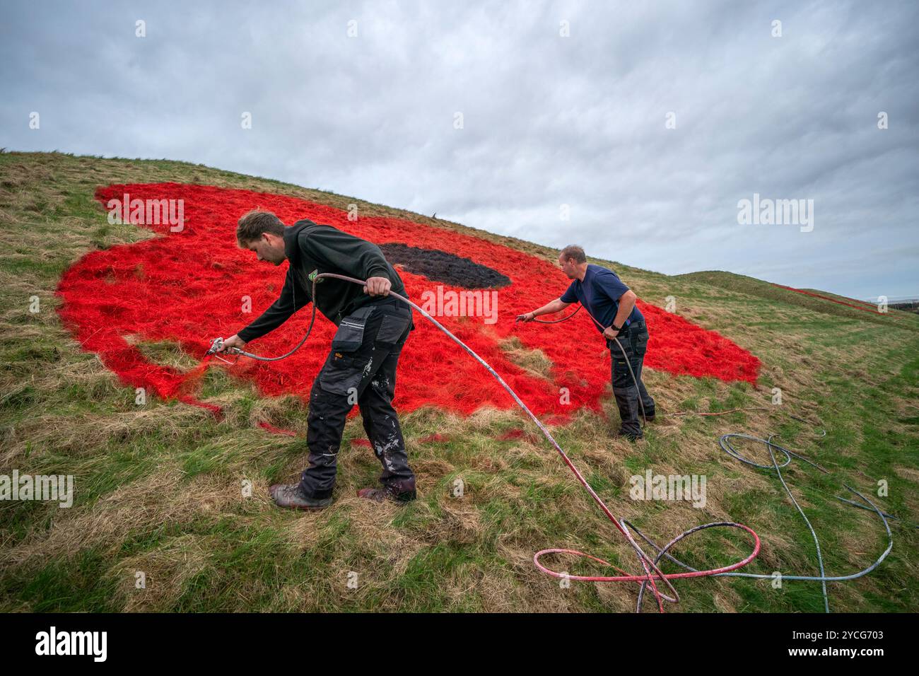 Giant poppies are painted onto the grass pyramids alongside the M8 ...