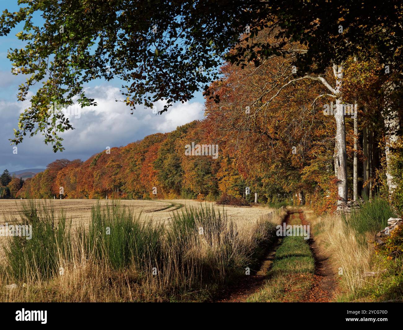 Feneline hi-res stock photography and images - Alamy