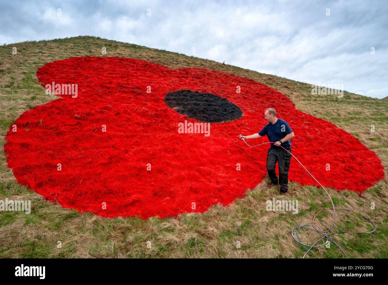 Giant poppies are painted onto the grass pyramids alongside the M8 ...