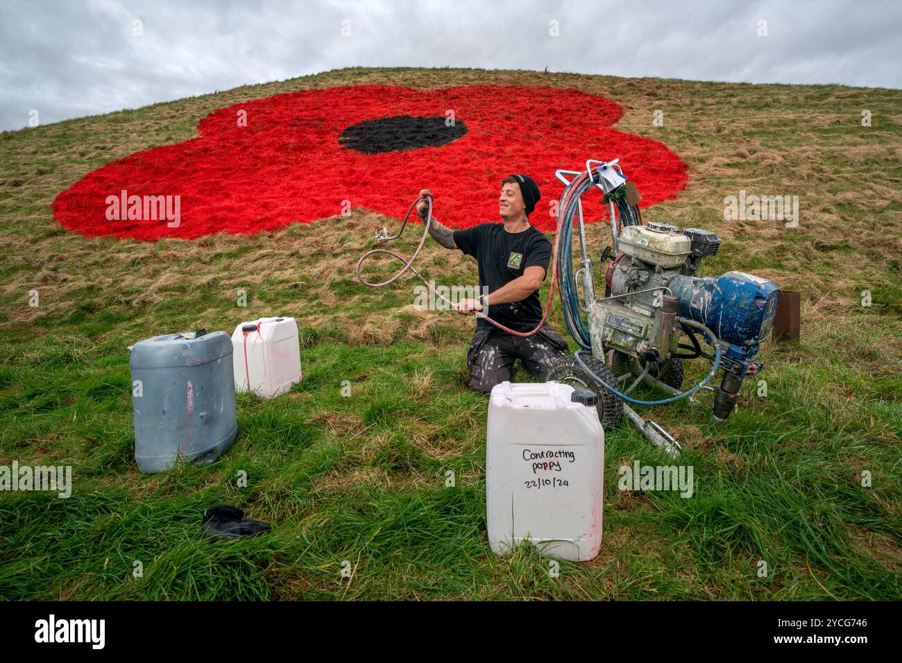 Giant poppies are painted onto the grass pyramids alongside the M8 ...