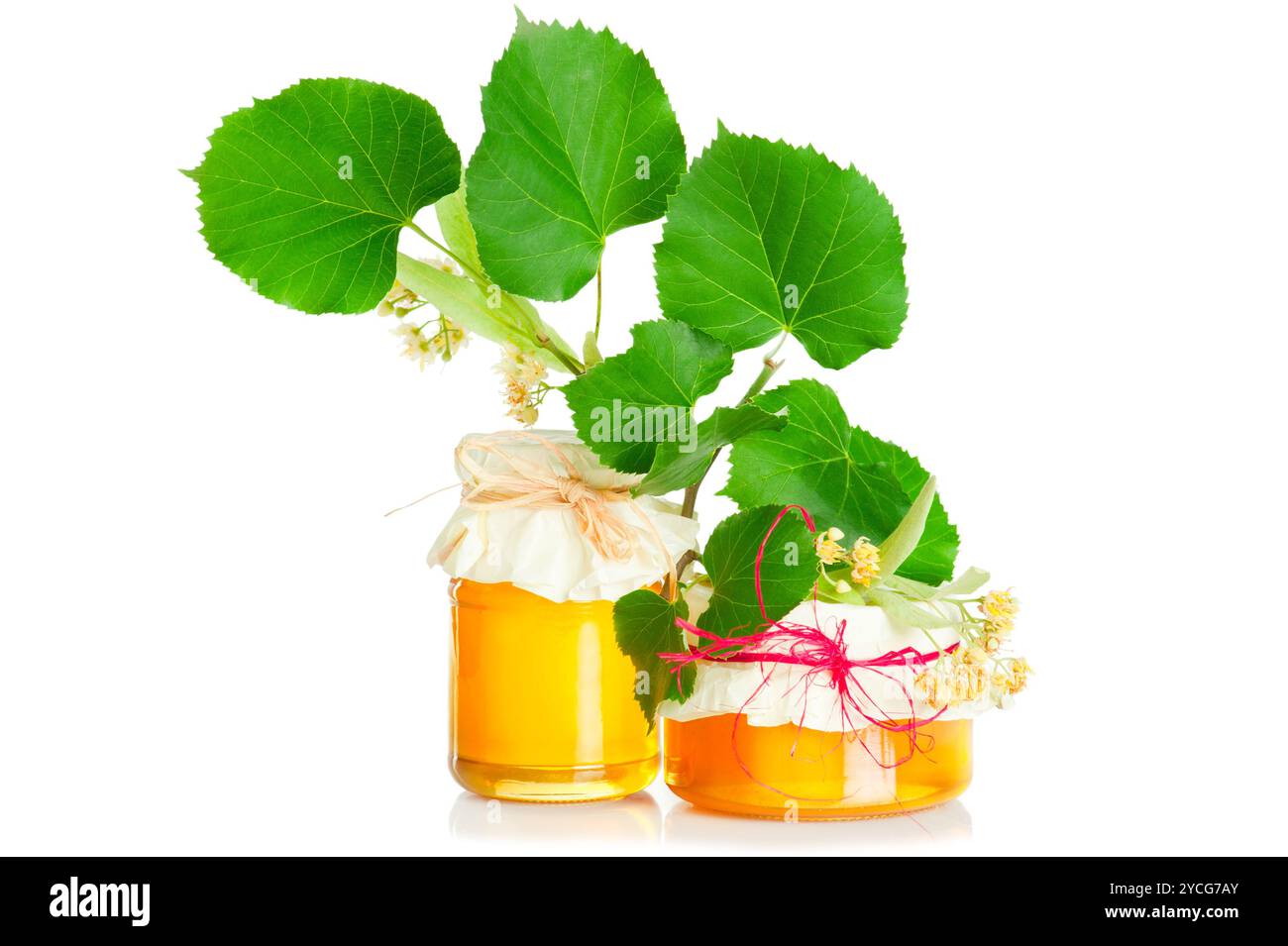 Fresh sweet honey and branch of linden tree with flowers on white ...