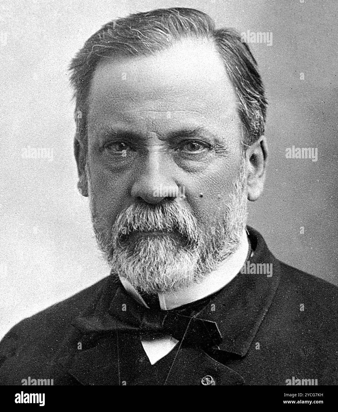 LOUIS PASTEUR (1822-1895) French biologist in 1878 Stock Photo - Alamy