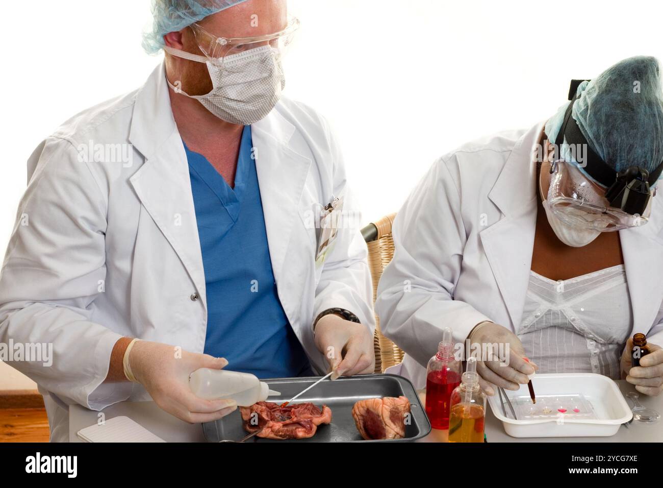 Two scientists working in a lab. White background Stock Photo - Alamy