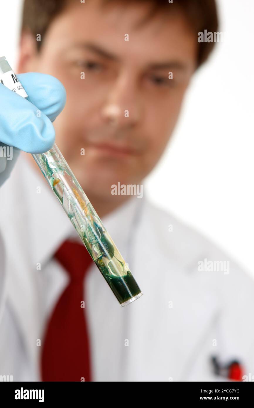 Forensic Blood Testing (final stage Stock Photo - Alamy