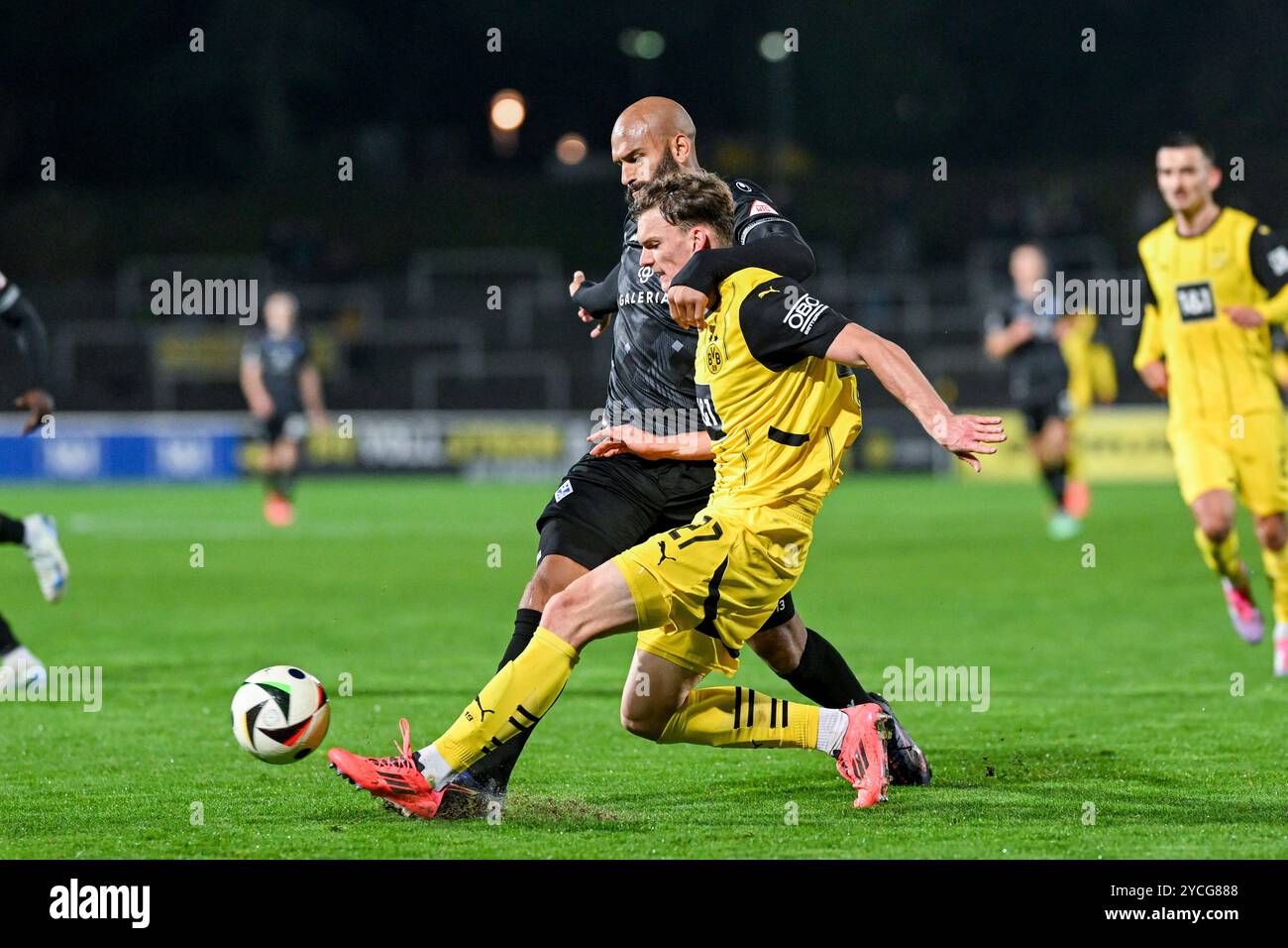 3. Liga - Borussia Dortmund II - SV Waldhof Mannheim am 22.10.2024 im ...