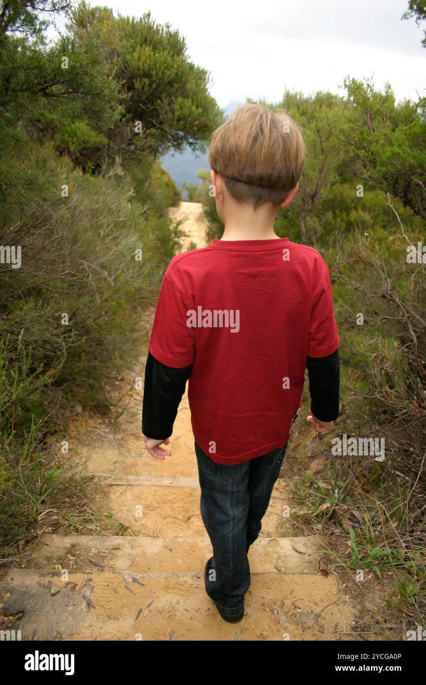 Bushwalking steps hi-res stock photography and images - Alamy