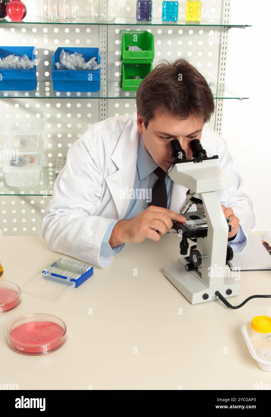 A scientist observes an object under magnification of a microscope in the laboratory Stock Photo ...