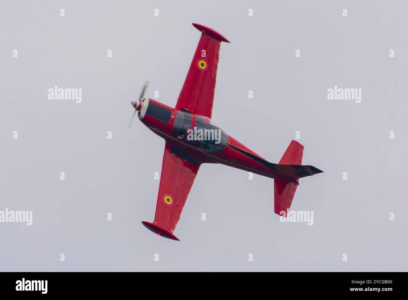 Belgian red devils 2024 hi-res stock photography and images - Alamy