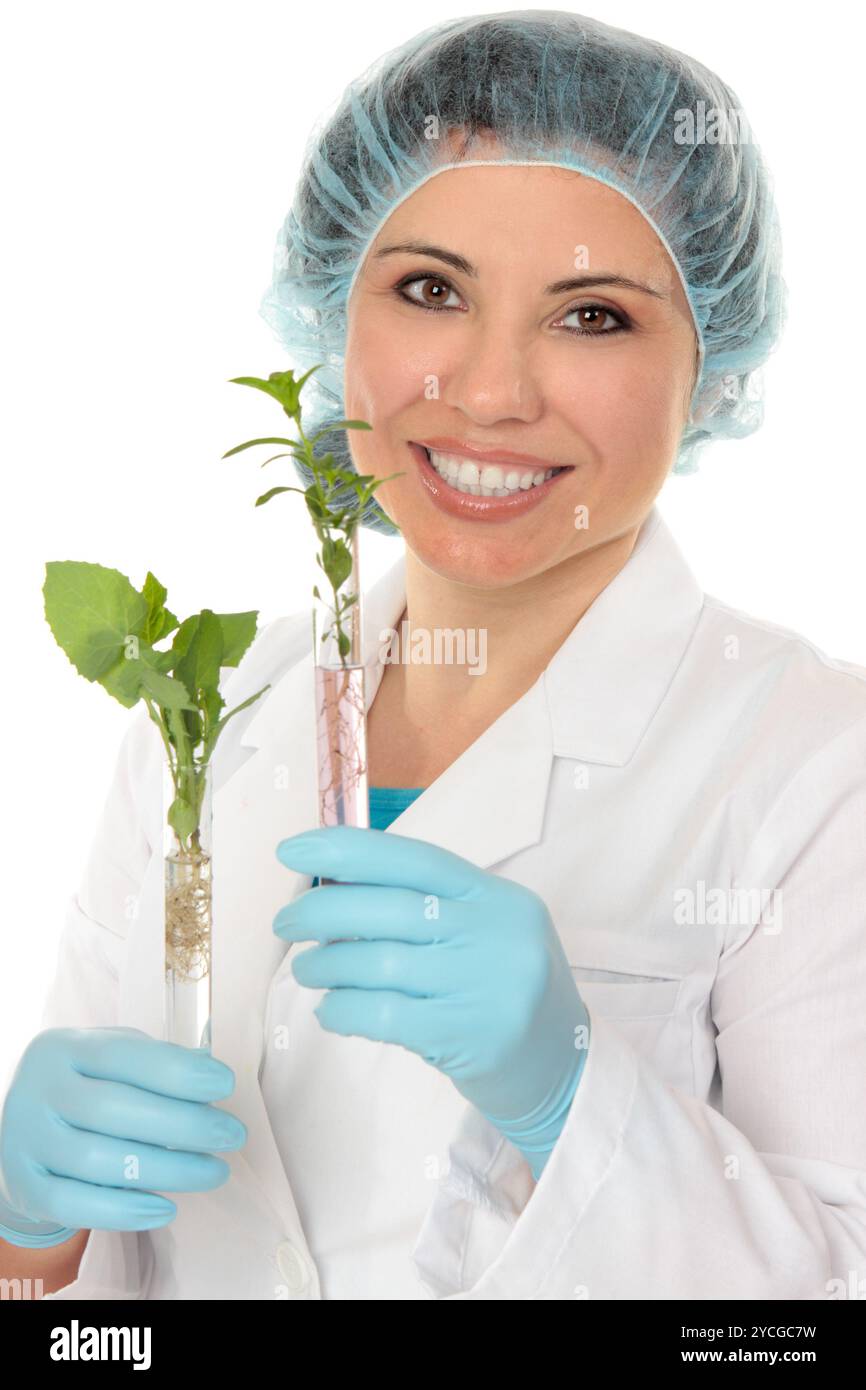 Test tube plants Stock Photo - Alamy