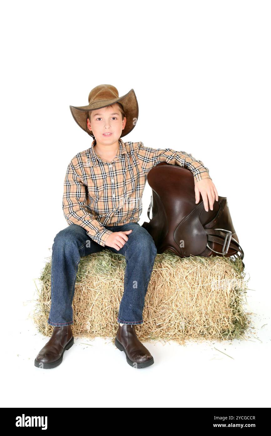 Lucerne hay Cut Out Stock Images & Pictures - Alamy