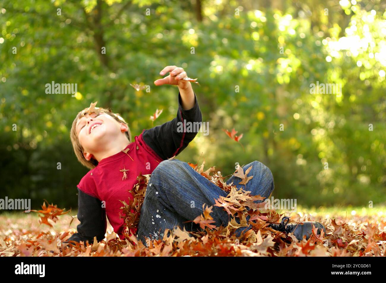 Leaves falling backward hi-res stock photography and images - Alamy