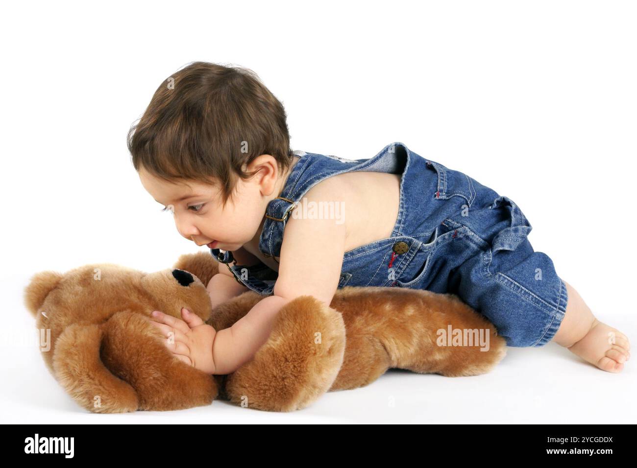 Bears baby Cut Out Stock Images & Pictures - Alamy