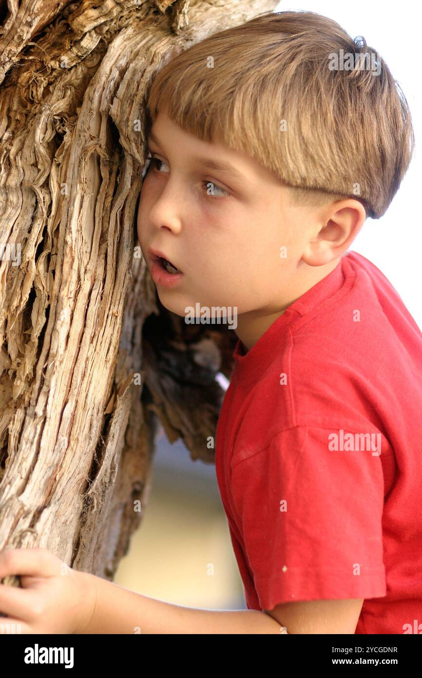 Watching behind tree hi-res stock photography and images - Alamy