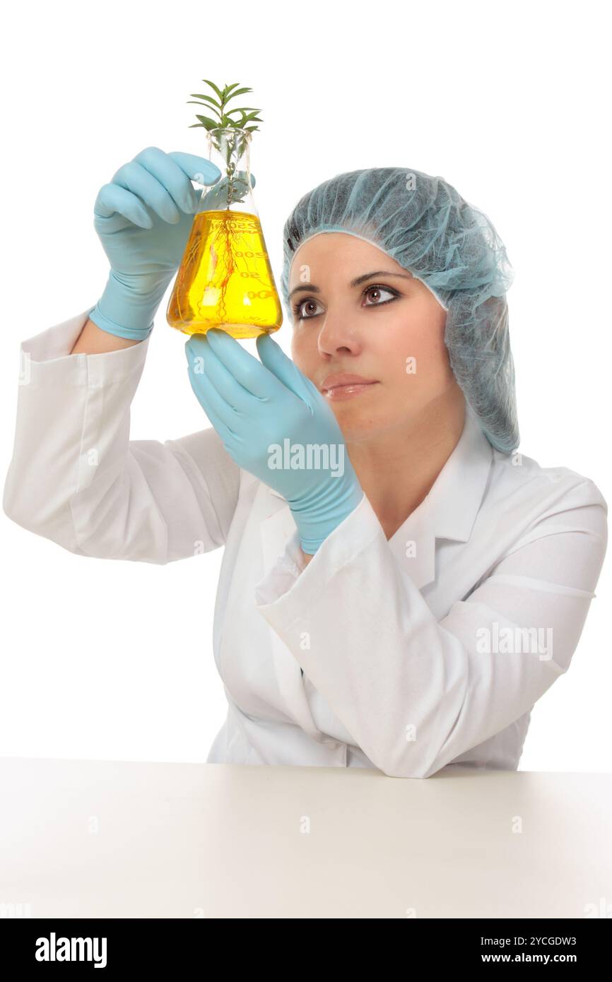 Genetically modified plant female scientist hi-res stock photography ...