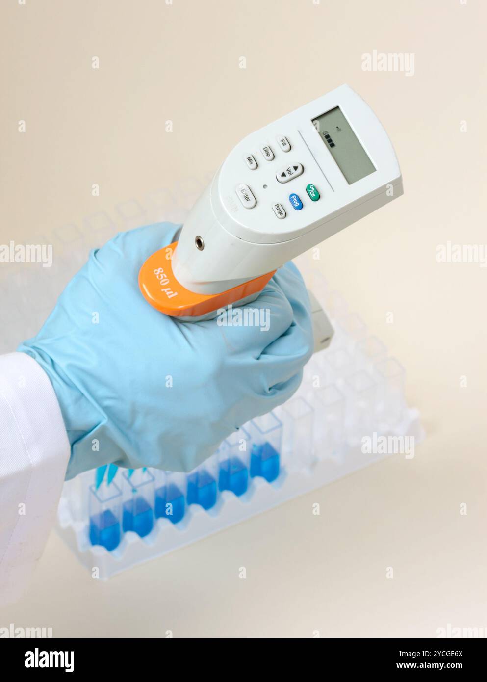 Hand holding pipette Stock Photo - Alamy