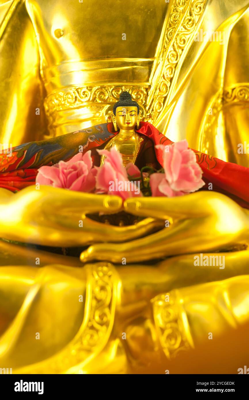 Buddhist monastery shrine hi-res stock photography and images - Alamy