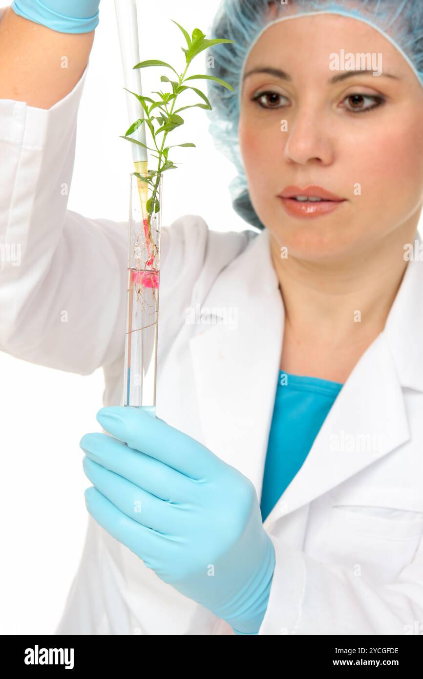 Plant science hi-res stock photography and images - Alamy