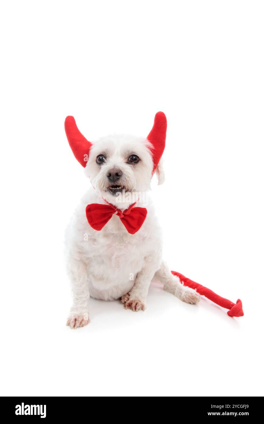 Dress devil Cut Out Stock Images & Pictures - Alamy