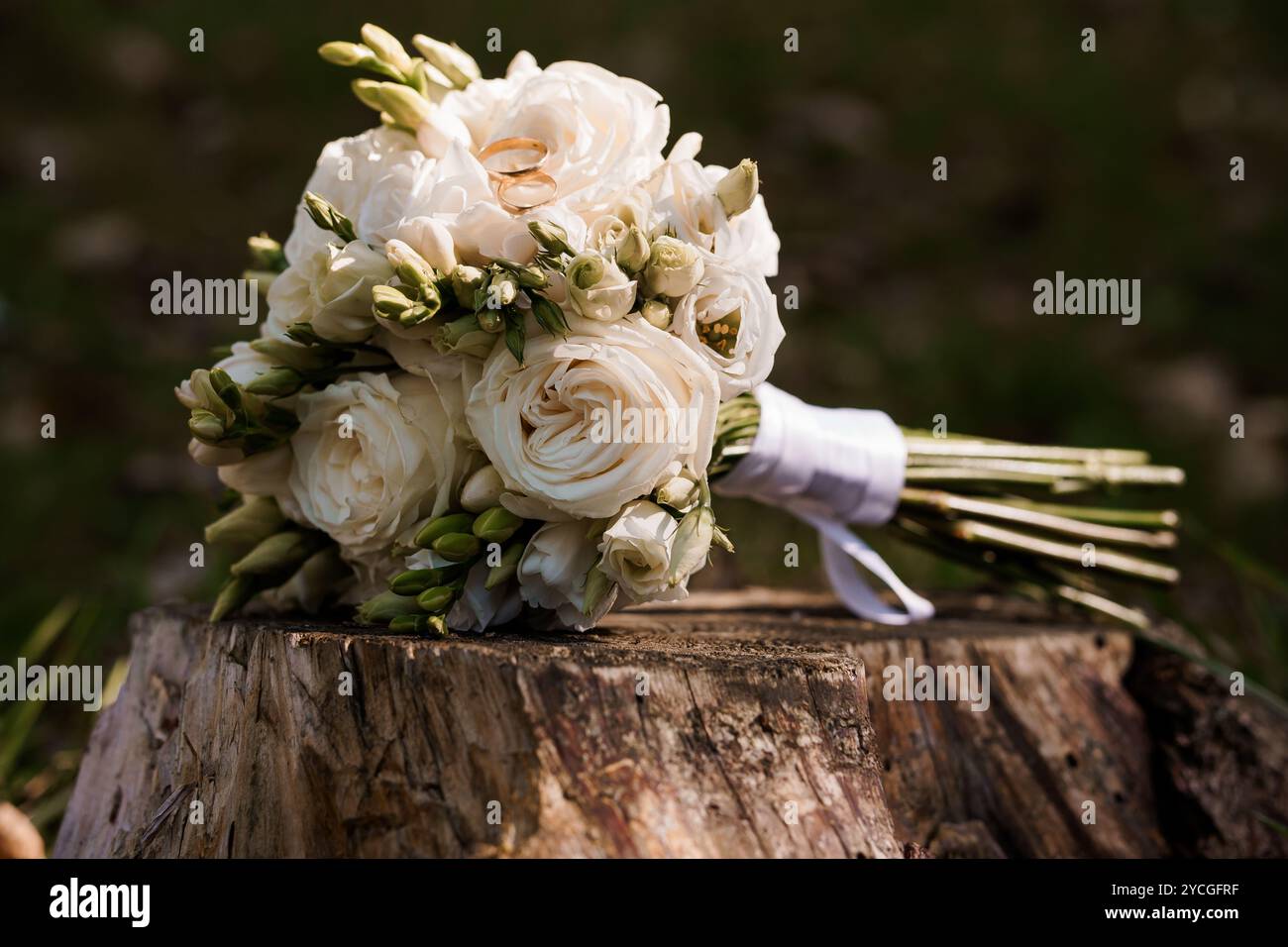 Featuring lush roses hi-res stock photography and images - Alamy