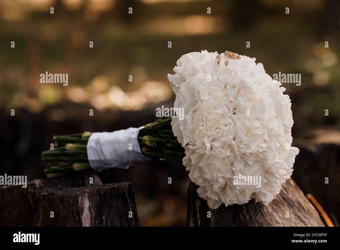 Elegant White Carnation Bridal Bouquet on Rustic Log Background Stock ...