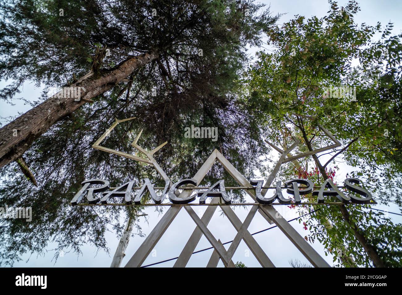 Ranca Upas or Kampung Cai Ranca Upas is one of the tourist attractions ...