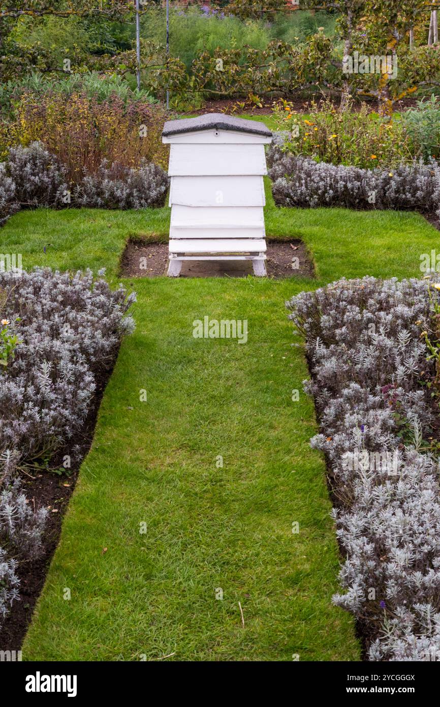 Traditional beehives uk hi-res stock photography and images - Alamy
