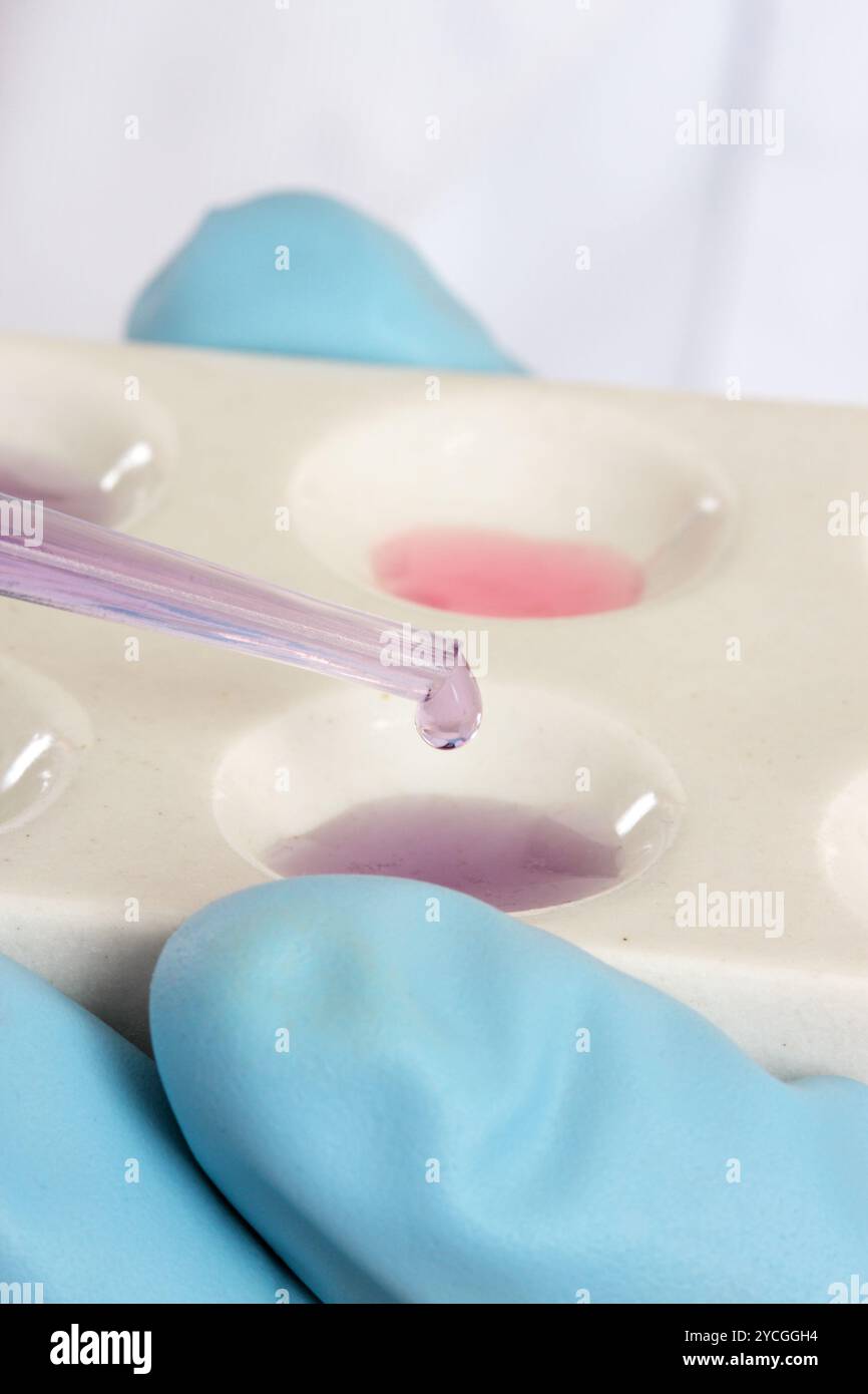 Research experiment scientific analysis Stock Photo - Alamy