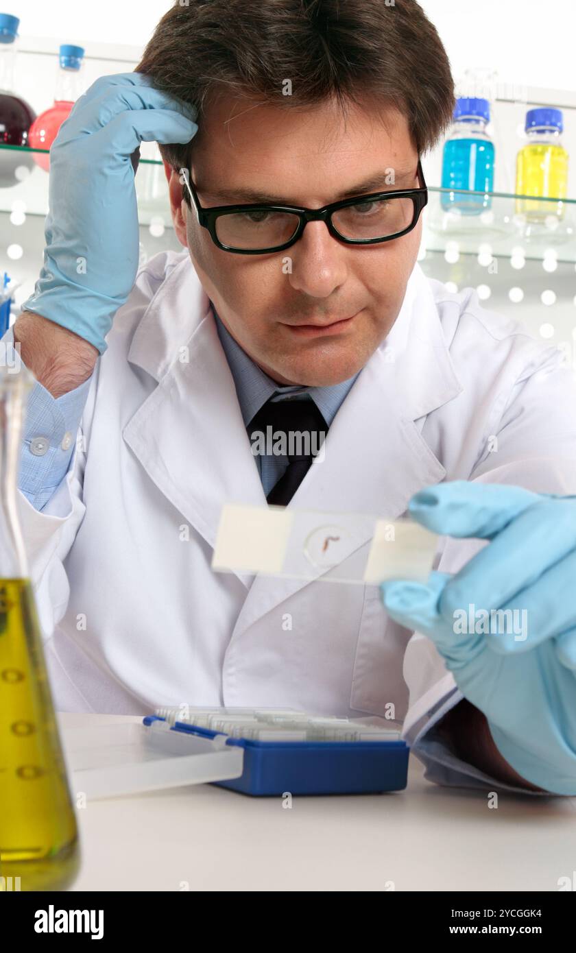 Microscope slide hi-res stock photography and images - Alamy
