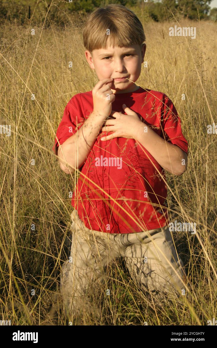 Boy standing in tall grasses Stock Photo - Alamy