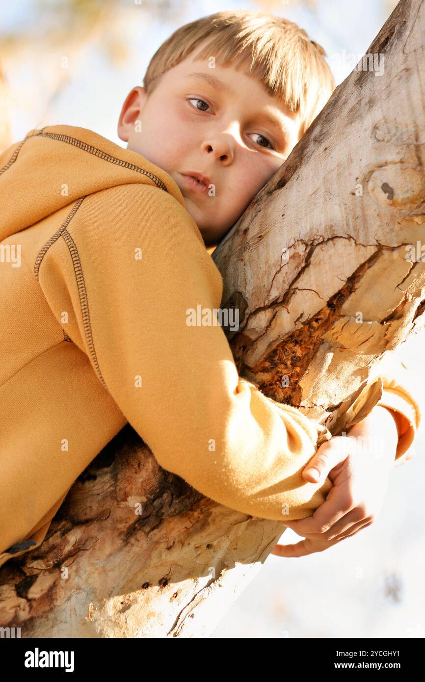 Boy resting on a tree branch Stock Photo - Alamy
