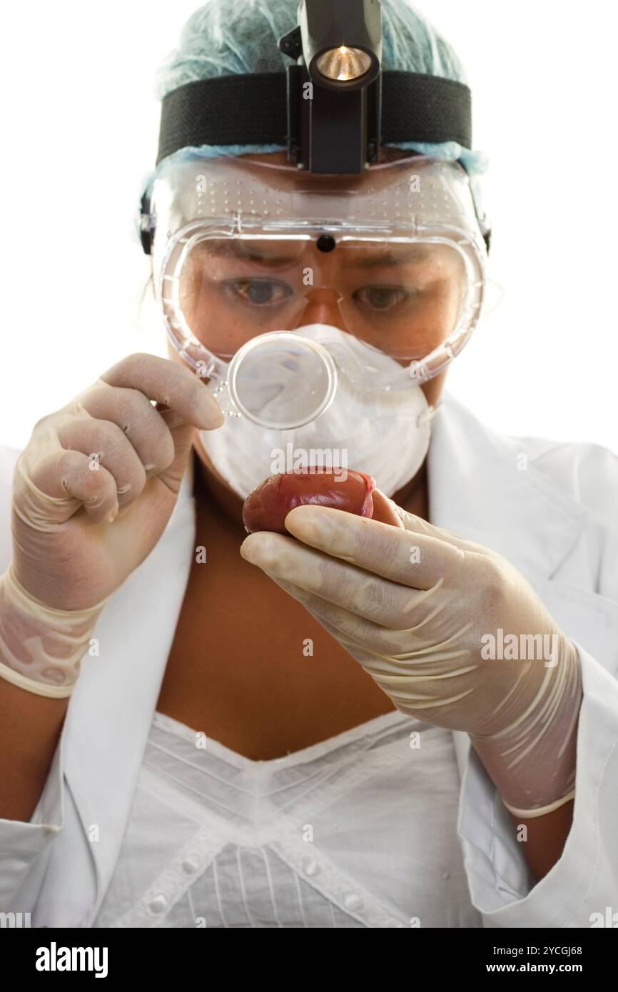 Autopsy examination hi-res stock photography and images - Alamy