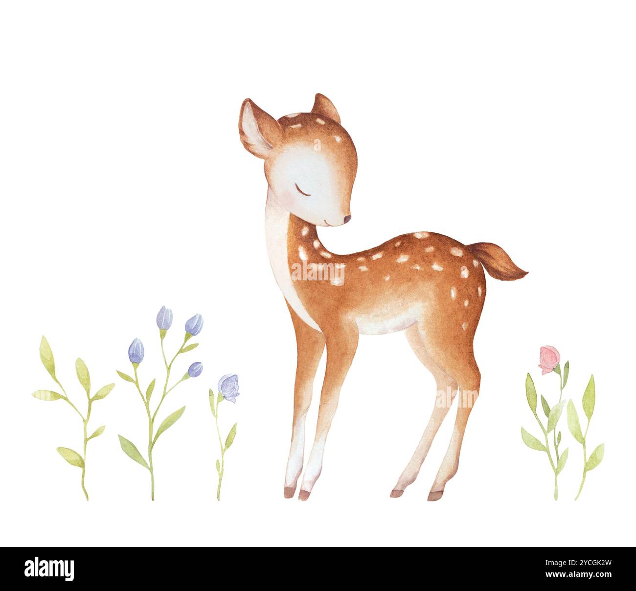 Watercolor forest deer woodland Cut Out Stock Images & Pictures - Alamy