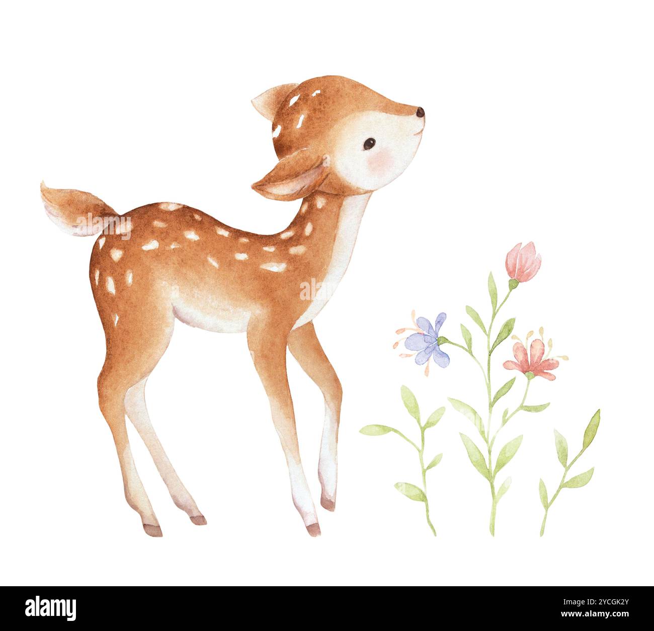 Baby Deer Watercolor Clipart, Watercolor Flowers, Deer Painting, Baby ...