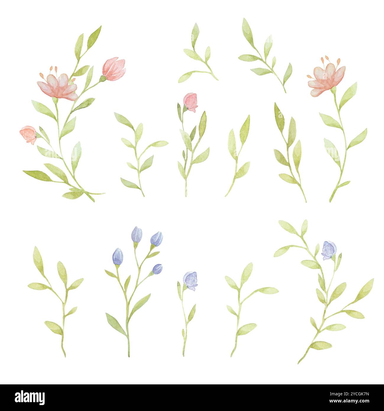 Rustic Floral Clipart, Branch Watercolor Clipart, Watercolor Rustic ...