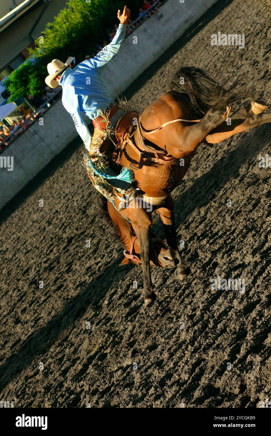 Bucking bronco hi-res stock photography and images - Alamy
