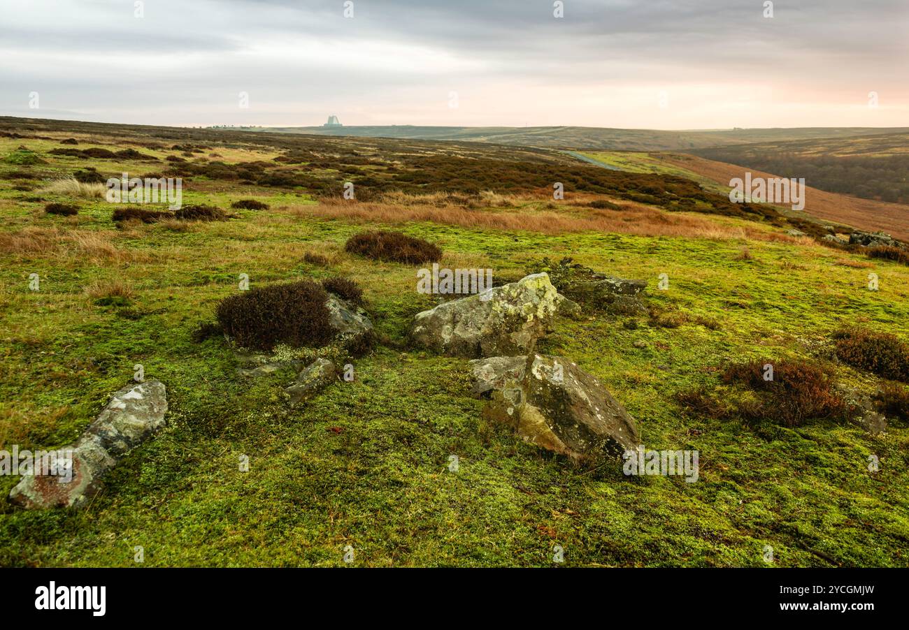 The North York Moors at sunrise in winter with a view of heather, rocks ...