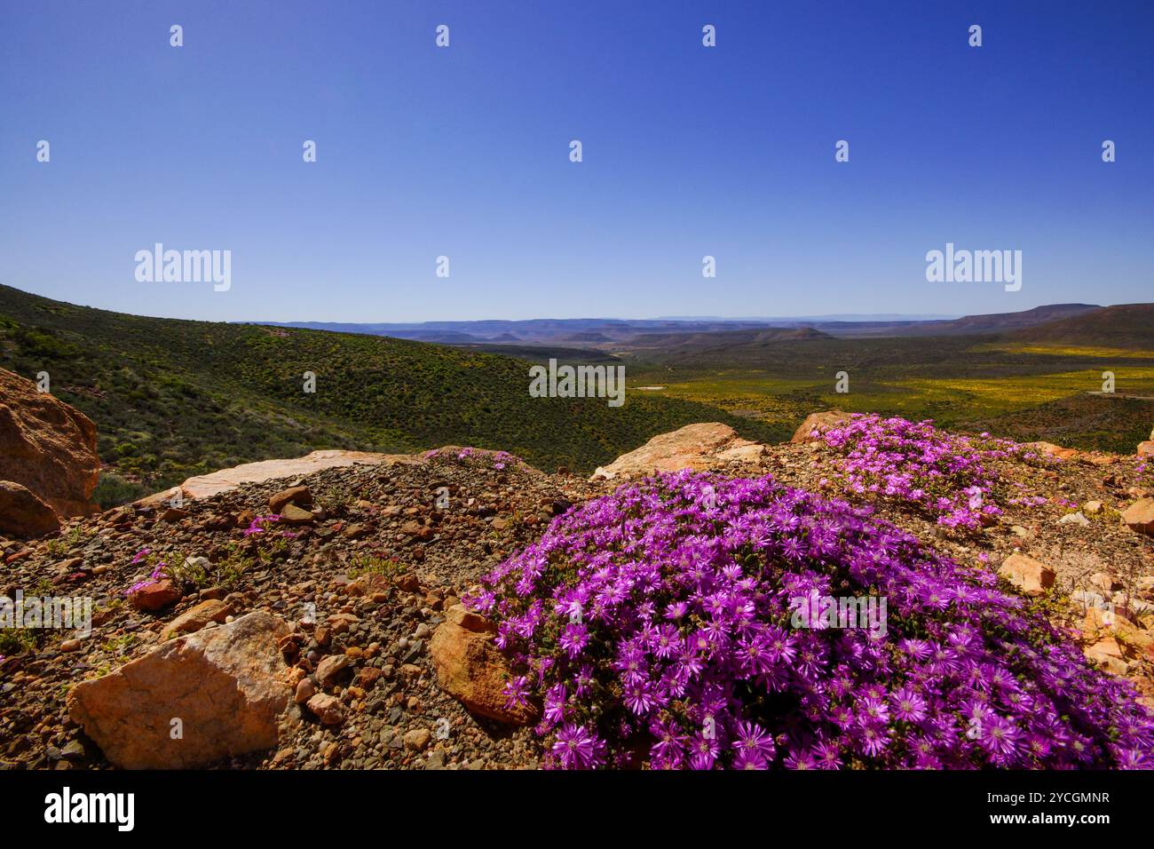 View from Botterkloof Pass between Clanwilliam an Calvinia with ...