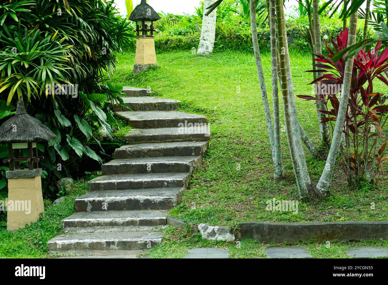 A serene garden scene featuring stone steps leading up a grassy hill ...