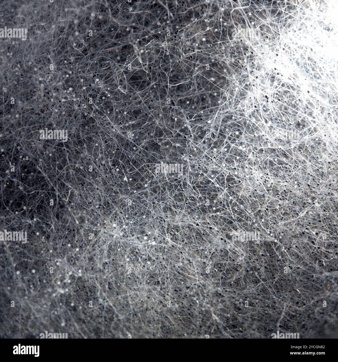 Mould effect hi-res stock photography and images - Alamy