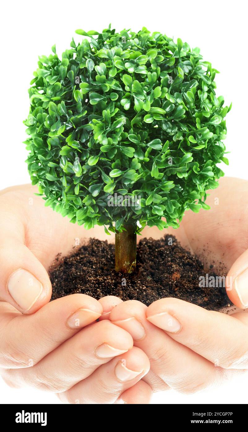 Human hands and tree Stock Photo - Alamy