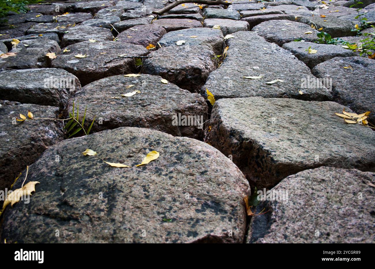 Stone road from granite cobble Stock Photo - Alamy