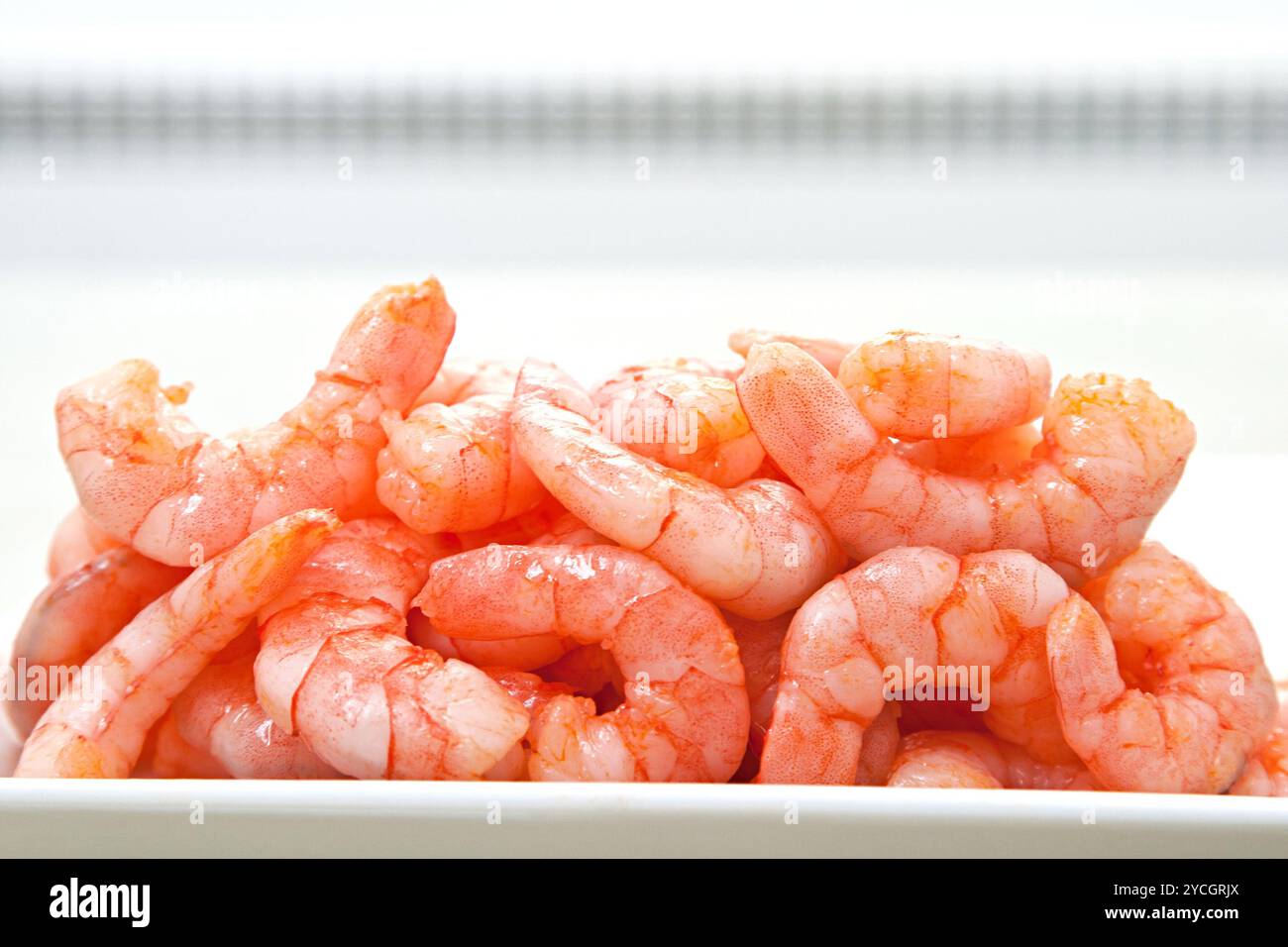 Purple shrimp plant hi-res stock photography and images - Alamy