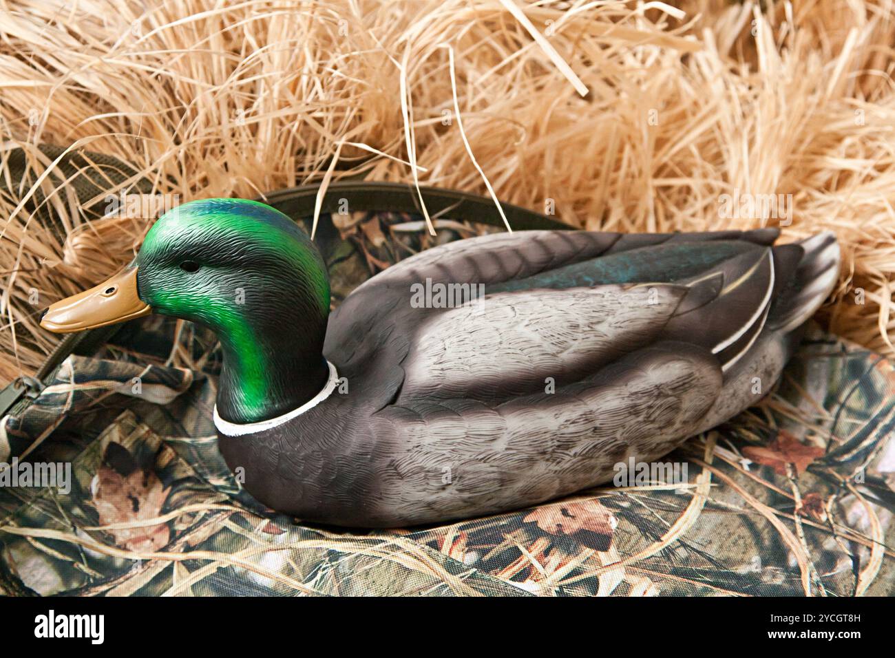 Mallard duck decoy hi-res stock photography and images - Alamy